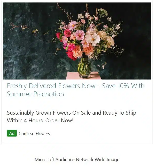 Image Specs for Microsoft Audience Network Ads | JumpFly Digital ...