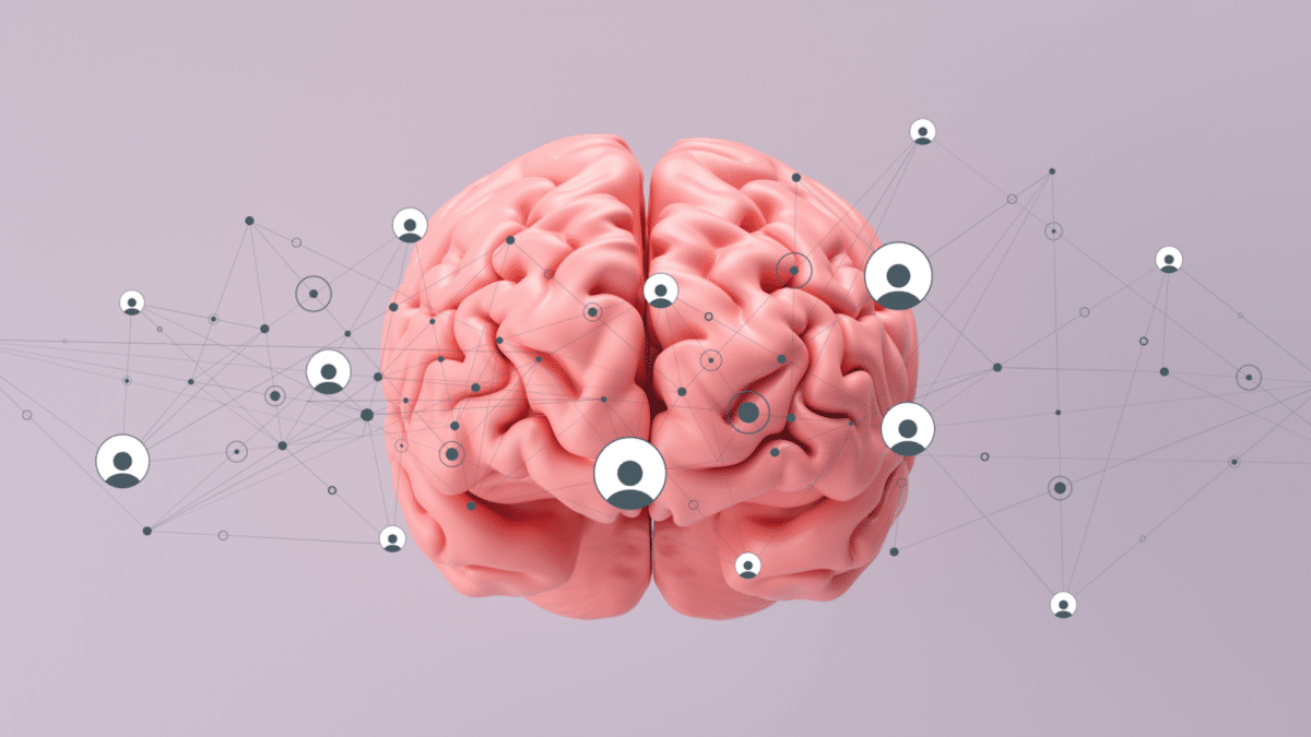 What Can You Learn From the Meta Learning Phase? | JumpFly Digital ...